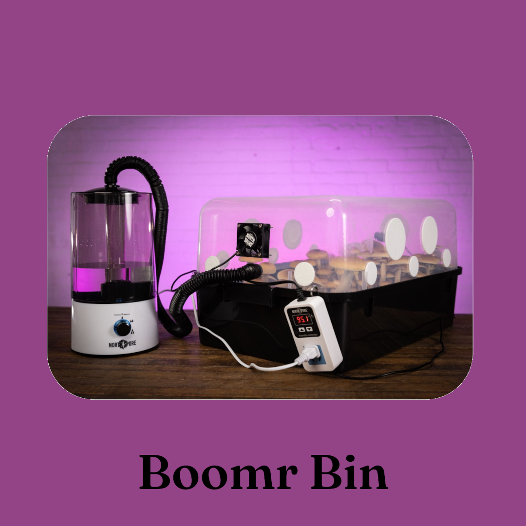 Boomr Bin – North Spore Wholesale