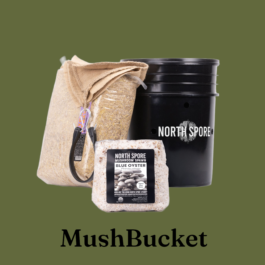 MushBucket – North Spore Wholesale
