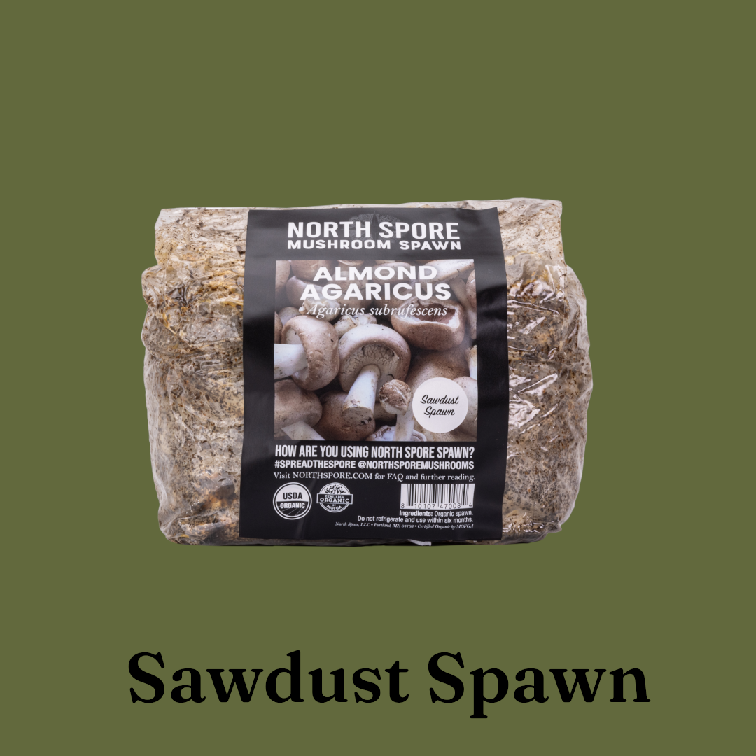 Sawdust Spawn – North Spore Wholesale