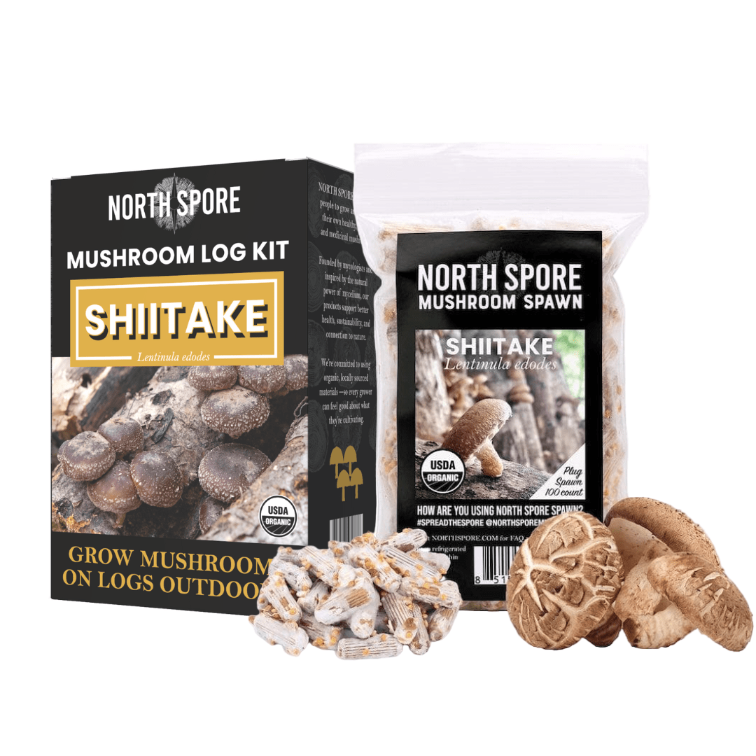 Shiitake Mushroom Outdoor Log Growing Kit | North Spore – North Spore ...